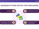 A Step By Step Guide On How To Scroll Down In Selenium Python